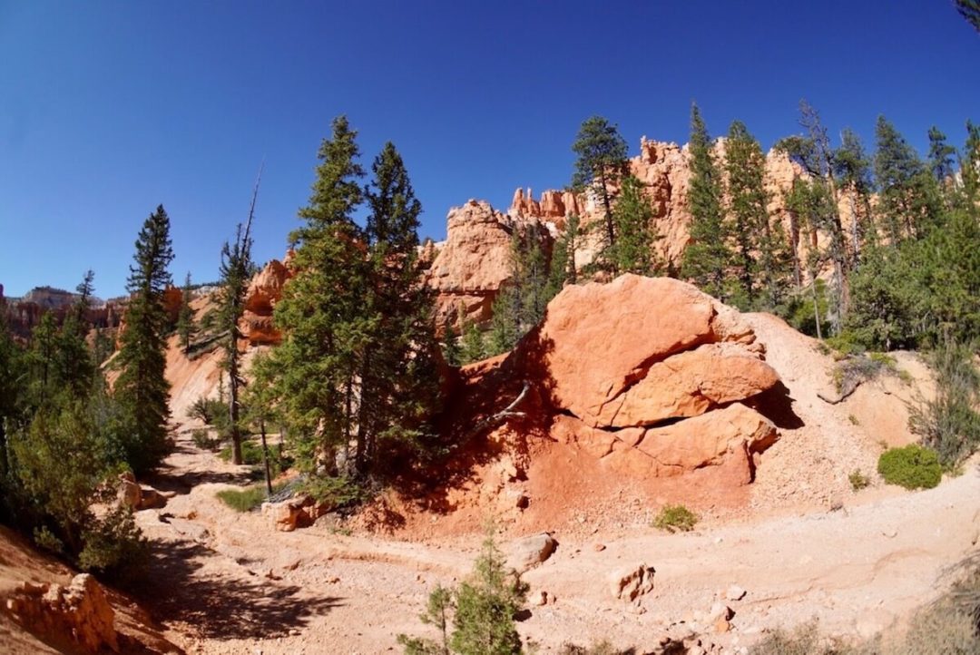 Bryce Canyon National Park: tutto quello che c’è da sapere per una visita